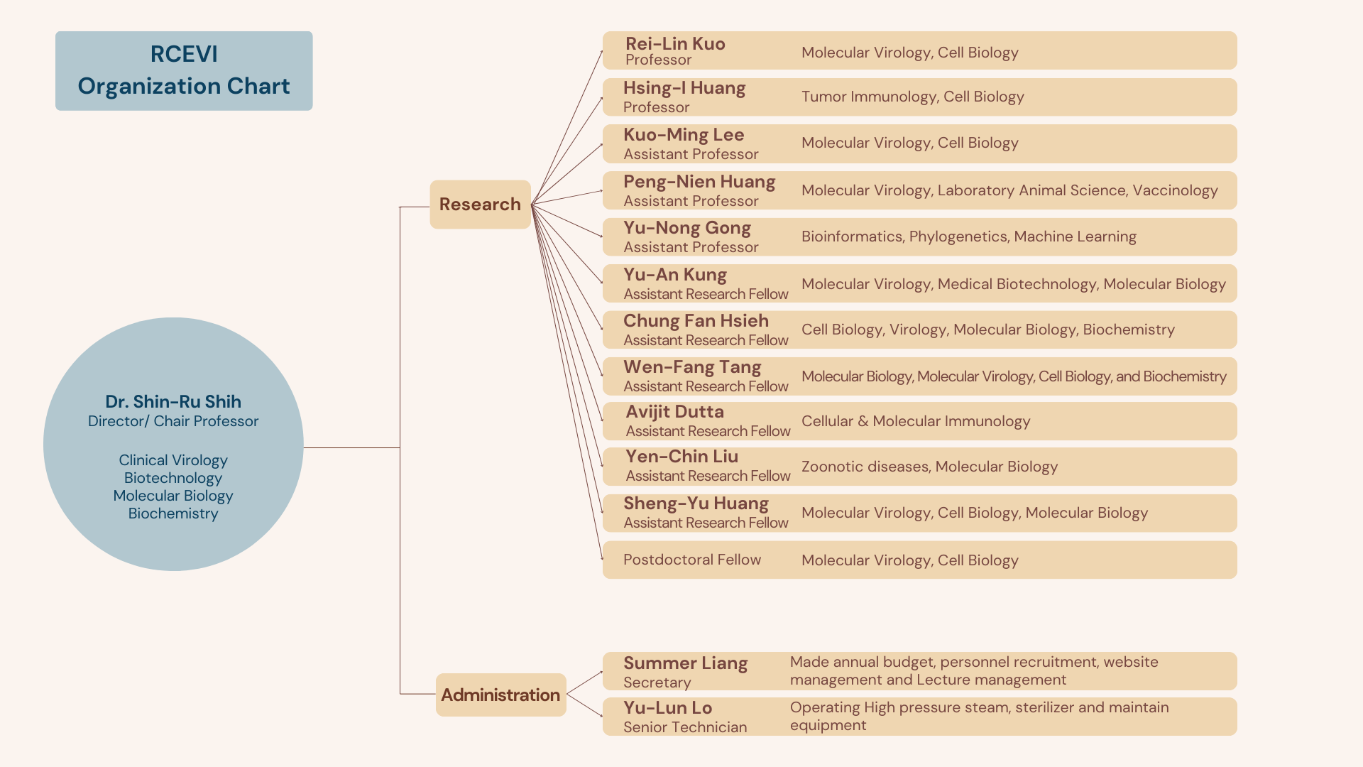Chang Gung University Organization Chart