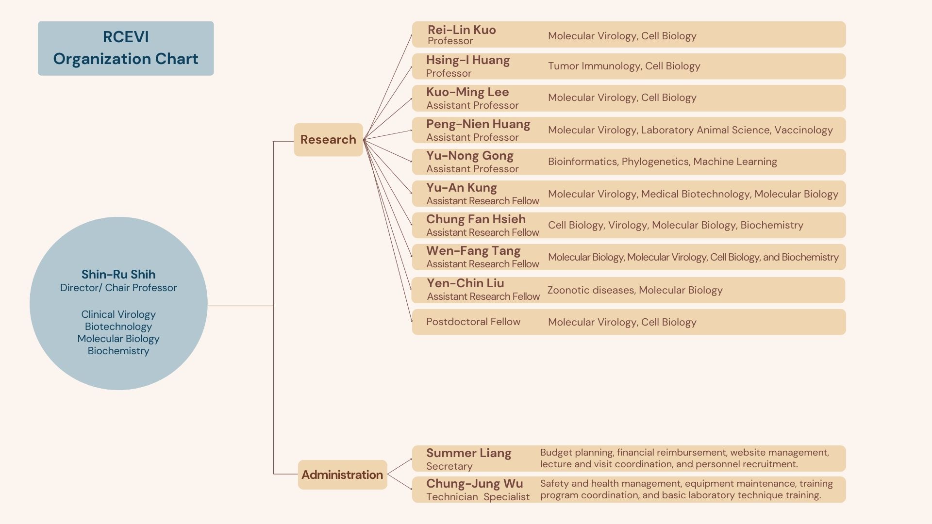 Chang Gung University Organization Chart